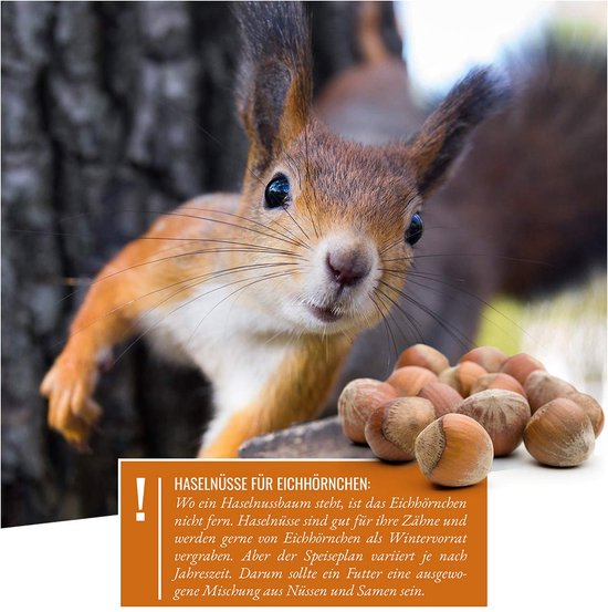 Wildtier Herz® Eekhoornvoer Soortenrijk 1kg - All-season voer | bol