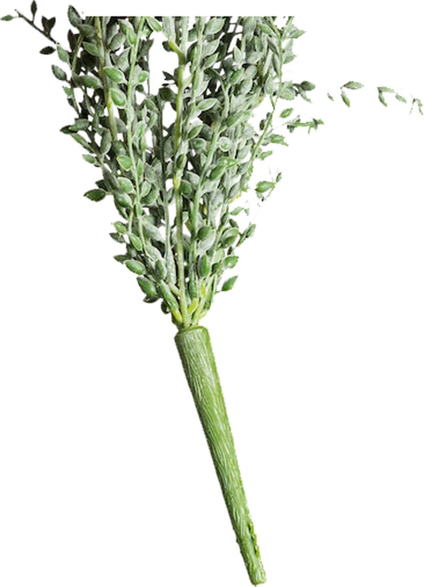 Erwtenplant - Senecio Rowleyanus - Hangplant - Kunstplant - Zonder pot ...