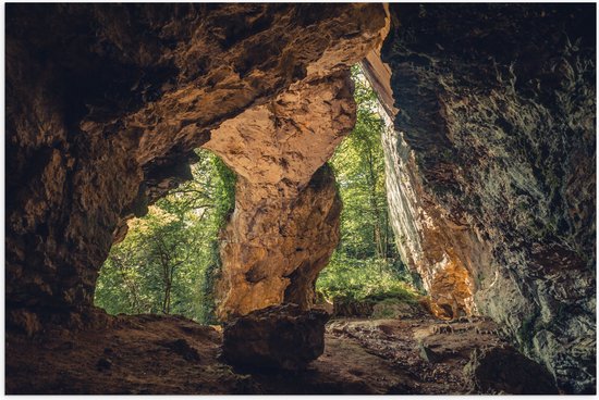 WallClassics - Poster (Mat) - Grote Grot in Bos - 105x70 cm Foto op ...