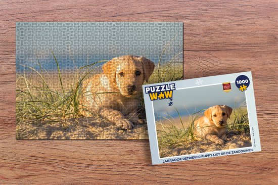 Puzzel Labrador Retriever puppy ligt op de zandduinen - Legpuzzel ...