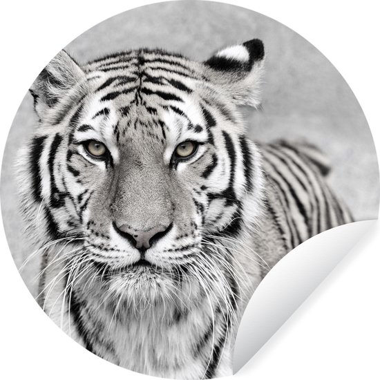 Behangcirkel - Zelfklevend behang - Dieren - Tijger - Natuur - Zwart - Wit - ⌀ 30 cm -... | bol