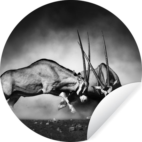 Behangcirkel - Zelfklevend behang - Wilde dieren - Antilope - Natuur - Zwart - Wit -... | bol