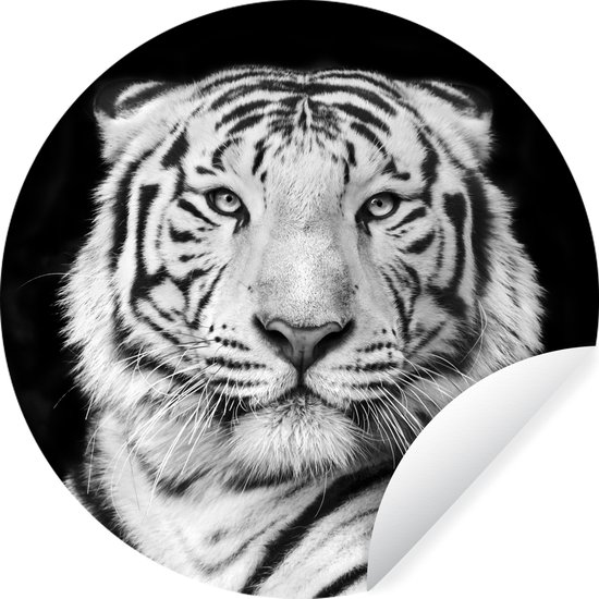 WallCircle - Behangcirkel - Zelfklevend behang - Dieren - Tijger - Zwart - Wit -... | bol.com