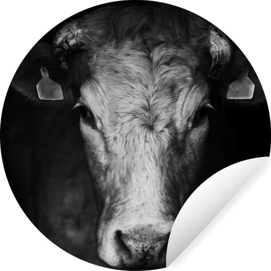 WallCircle - Behangcirkel - Zelfklevend behang - Dieren - Koe - Zwart - Wit - 100x100... | bol