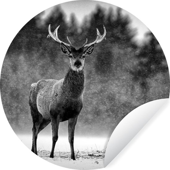 WallCircle - Behangcirkel - Zelfklevend behang - Dieren - Hert - Winter ...