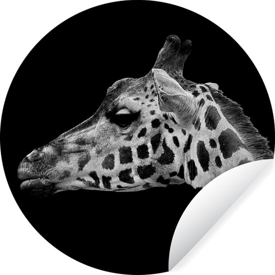 Behangcirkel - Zelfklevend behang - Dieren - Giraffe - Zwart - Wit - 100x100 cm -... | bol