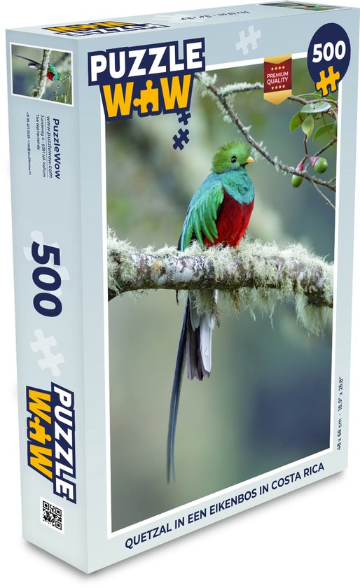 Puzzel Quetzal in een eikenbos in Costa Rica - Legpuzzel - Puzzel 500 ...