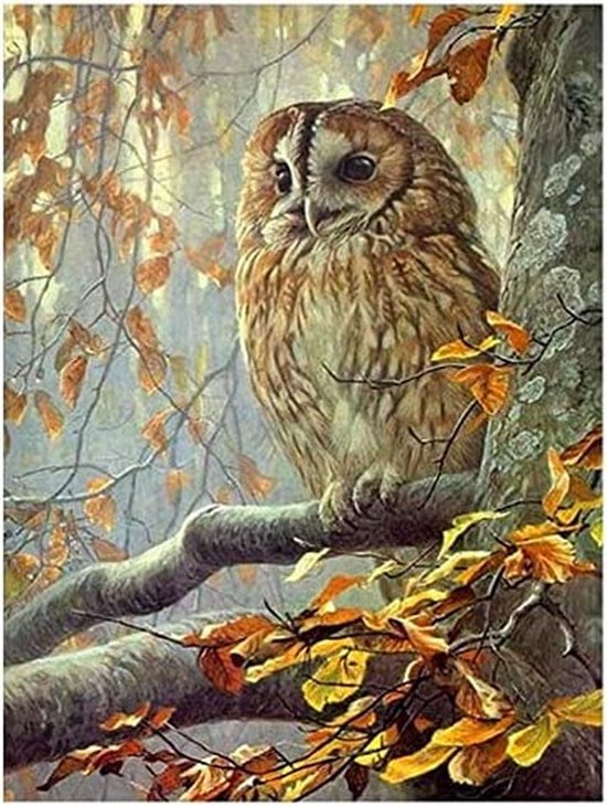 DIAMOND PAINTING Uil (30 X 40 CM) | bol.com