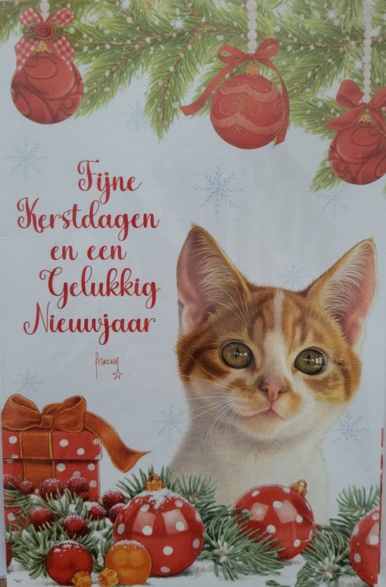 8 dubbele Kerstkaarten Franciens katten - rode kat met rode ...