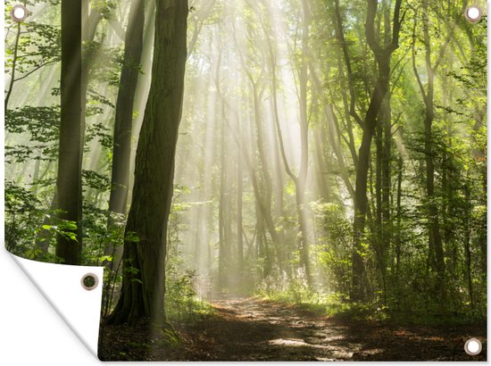 Tuin decoratie Bos - Licht - Natuur - Landschap - 40x30 cm - Tuindoek ...