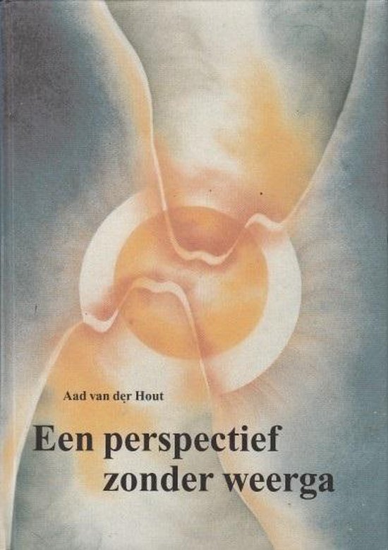 Een perspectief zonder weerga | 9789090176888 | A. van der Hout ...