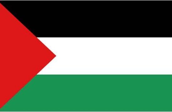 Fosco Palestina vlag - Palestijnse vlag | bol