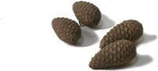 Dennenappels groot denne appels groot nr.28 | bol.com