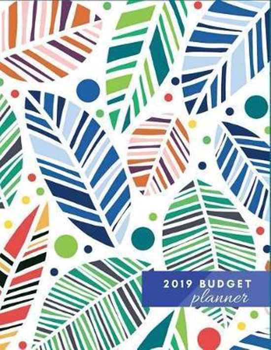 2019 Budget Planner, Hub Publishing | 9781726328777 | Boeken | bol.com