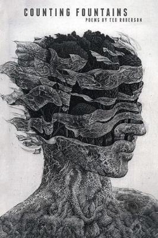 Counting Fountains, Ted Roberson | 9780359128235 | Boeken | bol.com