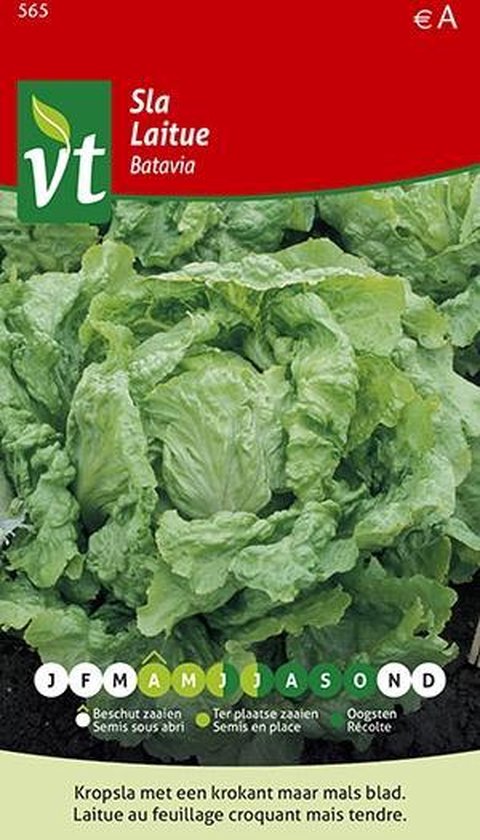 Sla Batavia - Knapperige bladeren | bol