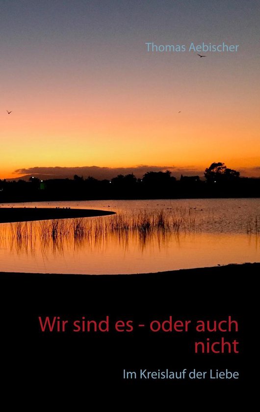 Wir sind es - oder auch nicht (ebook), Thomas Aebischer | 9783743105126 ...