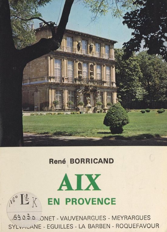 Aix-en-Provence et ses environs (ebook) | 9782402225519 | Boeken | bol