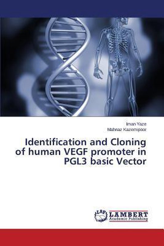 Identification and Cloning of Human Vegf Promoter in Pgl3 Basic Vector ...