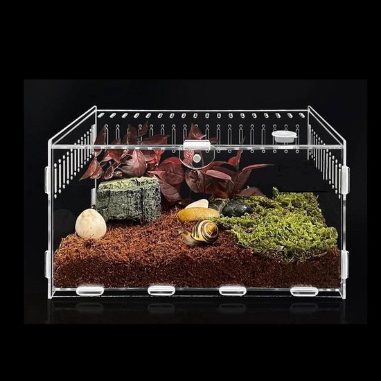 Transparant terrarium voor slakken en kleine dieren - 1 stuk - acryl ...