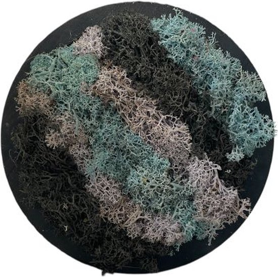 Mos wandpaneel rond zwart met rendiermos zwart, groen en aqua doorsnee ...