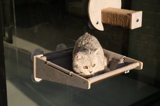 Joy Cat - raambed hangmat - ligplek voor de kat - Voorzien van super ...