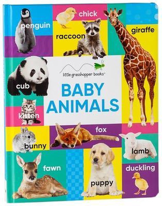 Early Learning- Baby Animals (Large Padded Board Book), Little ...