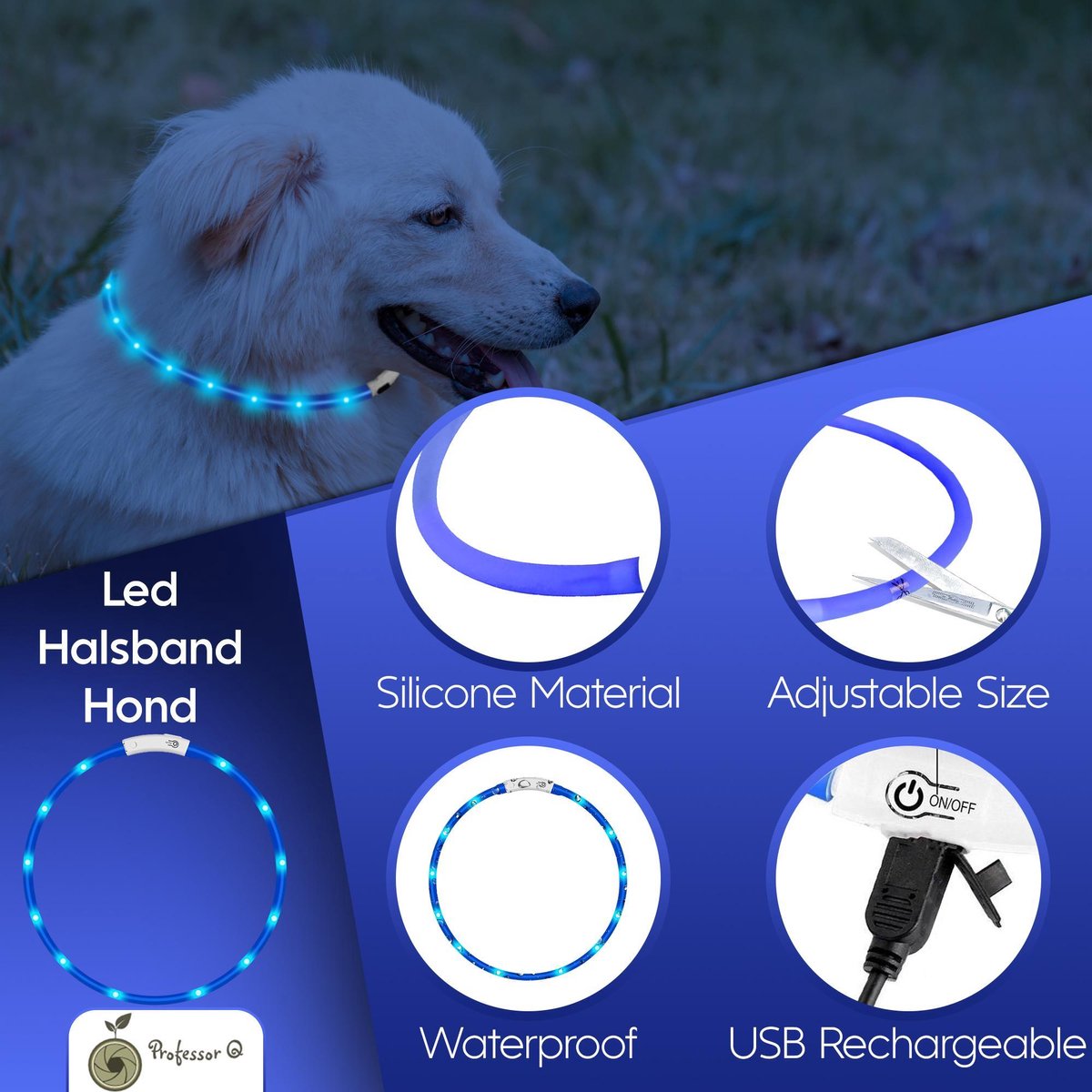 Blauwe LED Halsband voor hond Small / Blauw verlichte halsband hond ...