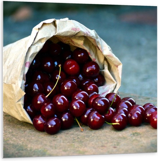 Forex - Zak gevuld met Kersen - 100x100cm Foto op Forex | bol