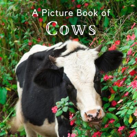 Picture Books for Seniors-A Picture Book of Cows, A Bee's Life Press ...