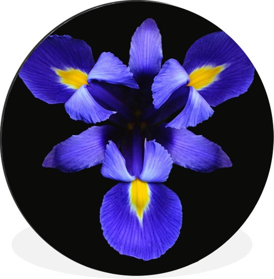 Blue Iris close-up Wall cercle aluminium ⌀ 90 cm - impression photo sur cercle mural /... | bol.com