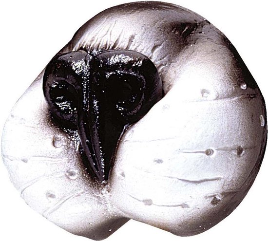 WIDMANN - Katten neus voor volwassenen - Accessoires > Oren > Neuzen ...