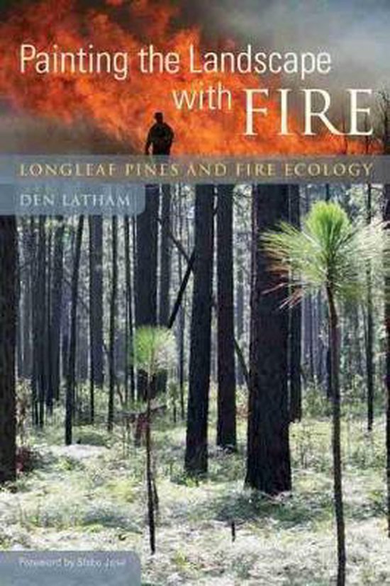 Painting the Landscape with Fire, Den Latham | 9781611172423 | Boeken ...