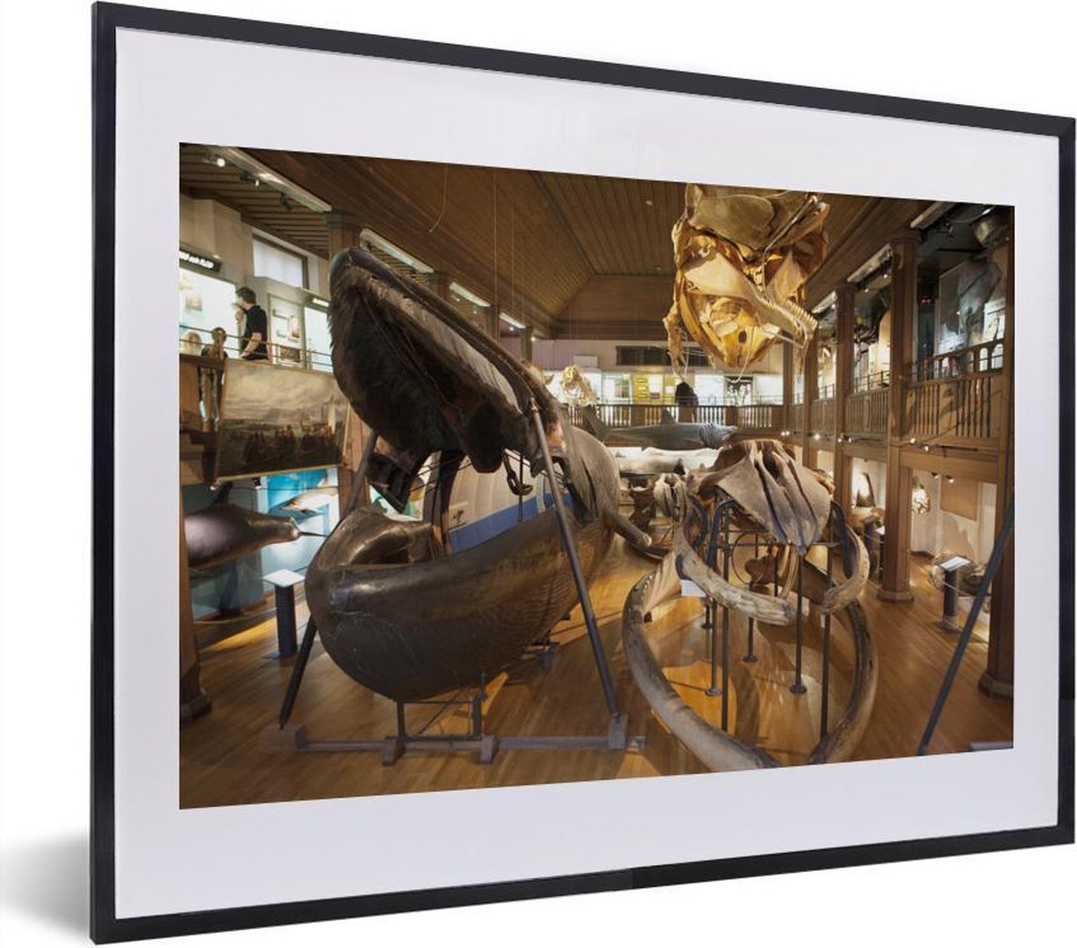 Fotolijst incl. Poster - Skelet van een grote walvis in het Natural ...