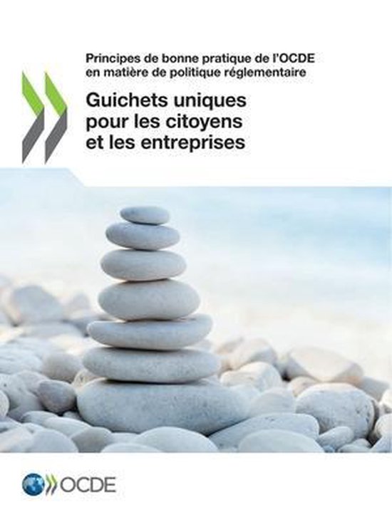 Principes de Bonne Pratique de l'Ocde En Matiere de Politique ...