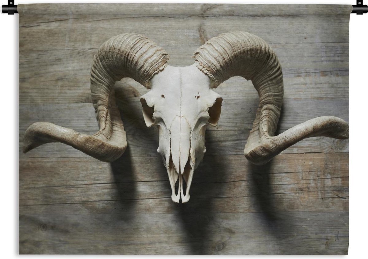 Wandkleed Schedels dieren - Schedel van een schaap met hoornen op een ...