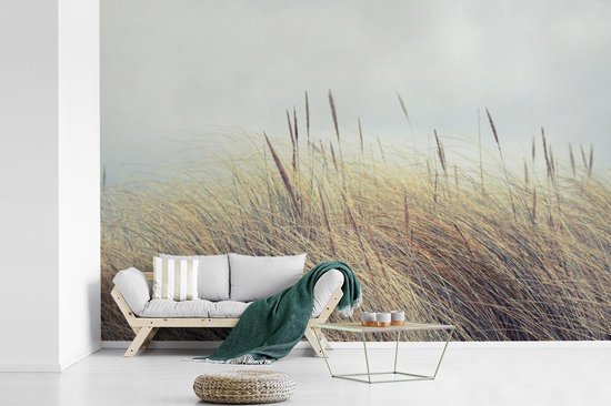 Fotobehang Riet - H en weer waaiend riet fotobehang vinyl breedte 600 ...