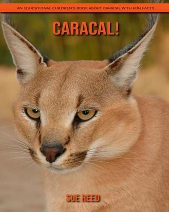 Caracal! An Educational Children's Book about Caracal with Fun Facts ...