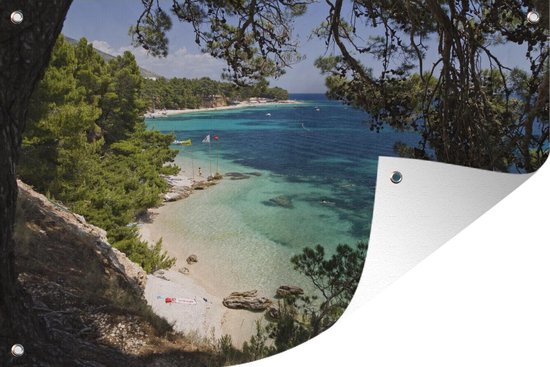 Arbres en surplomb à la plage de Zlatni Rat en Croatie Affiche de ...