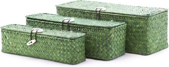 Mandje - Riet - Groen - 32x12x11cm - 29x9x8.5cm - 26x6x7cm | bol.com