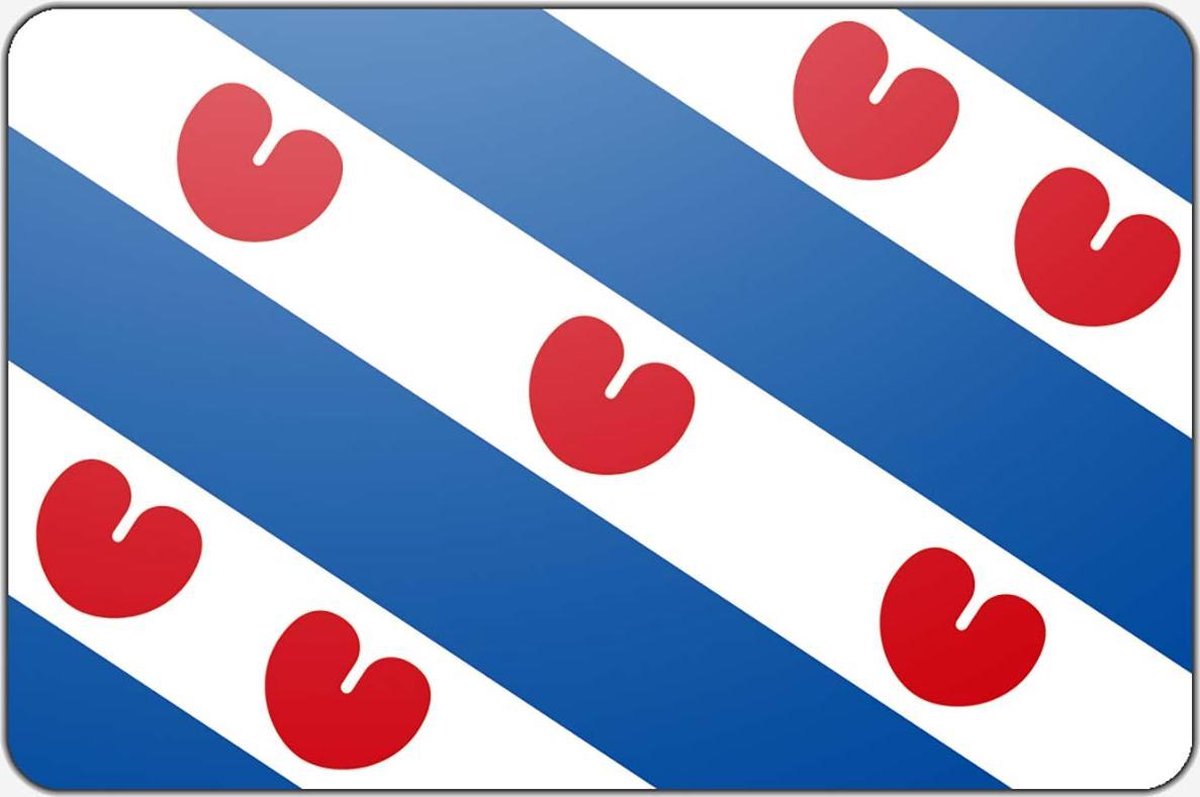 Vlag Friesland - 200 x 300 cm - Polyester | bol.com