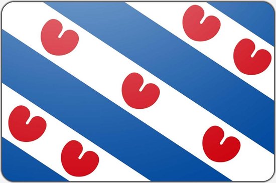 Vlag Friesland - 200 x 300 cm - Polyester | bol.com