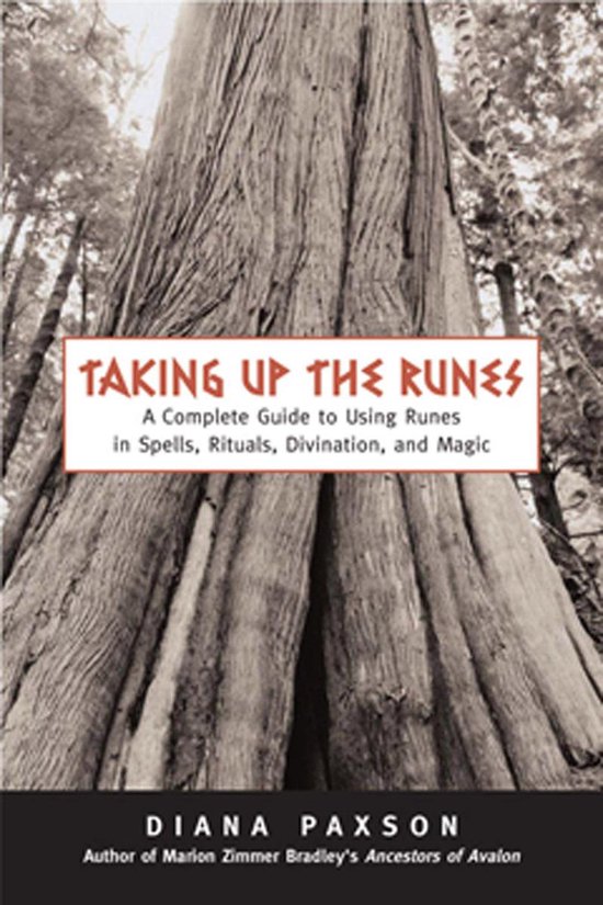 Taking Up the Runes (ebook), Paxson, Diana L. | 9781609255077 | Boeken ...