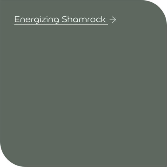 Levis Colores del Mundo Muur- & Plafondverf - Energizing Shamrock - Mat ...