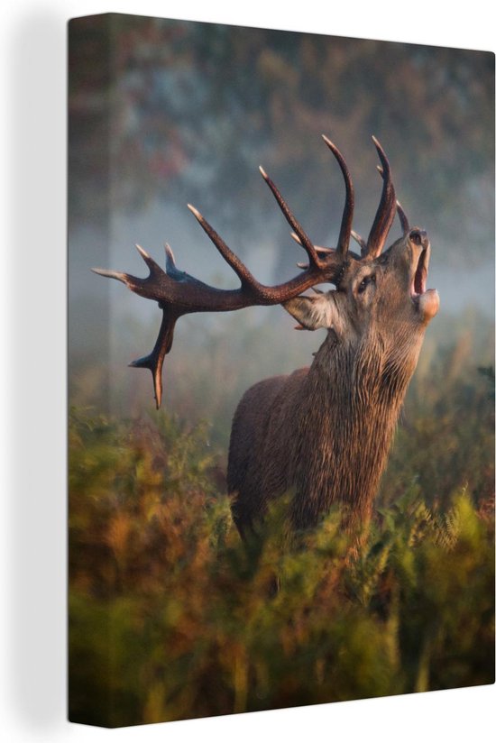 Canvas Schilderij Hert - Gewei - Planten - Herfst - 30x40 cm ...