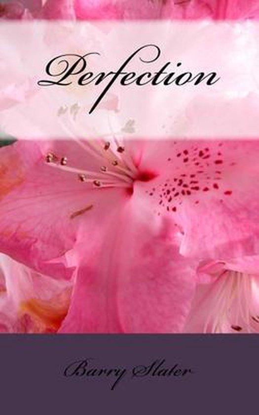 Perfection, Barry Slater | 9781724502490 | Boeken | bol.com
