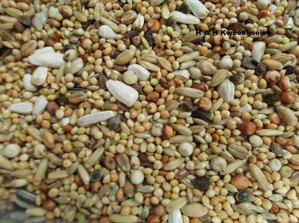 Payaro parkietenzaad grof 20kg | bol