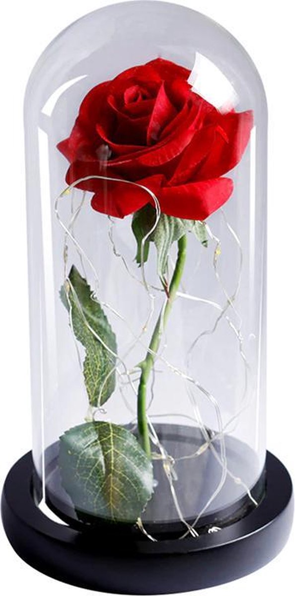 Rode Roos met groene steel in Glazen Stolp met LED verlichting ...