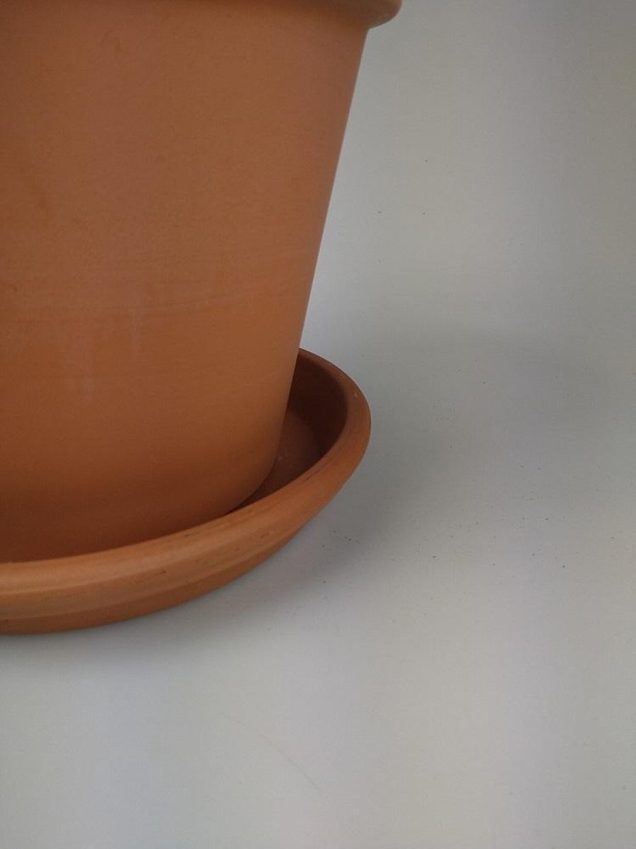 Terracotta bloempotten 35 cm met schotel penta set | bol.com