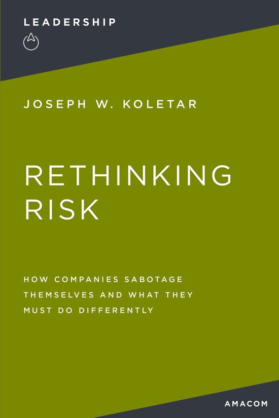 Rethinking Risk | 9781400232444 | Joseph Koletar | Boeken | bol